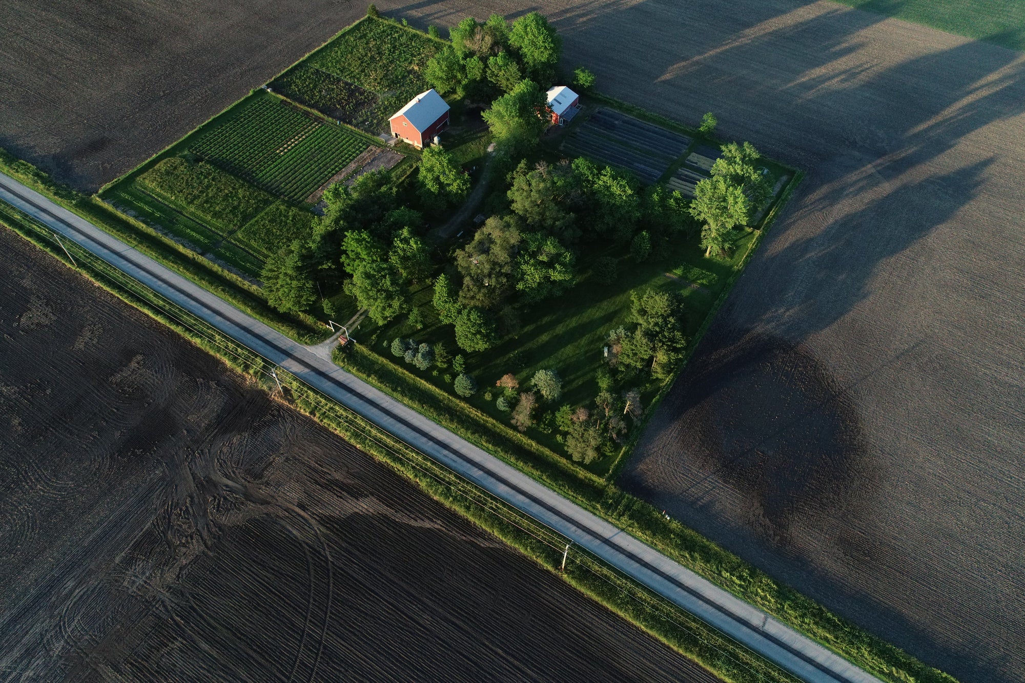 About | Delight Flower Farm