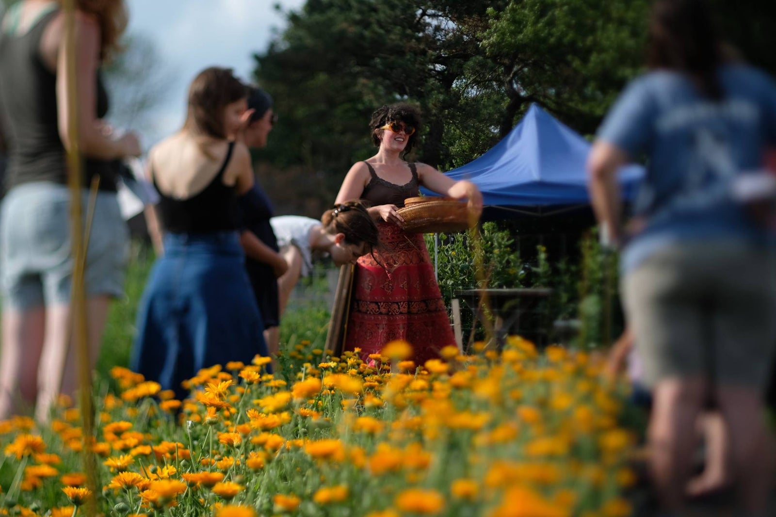 About | Delight Flower Farm